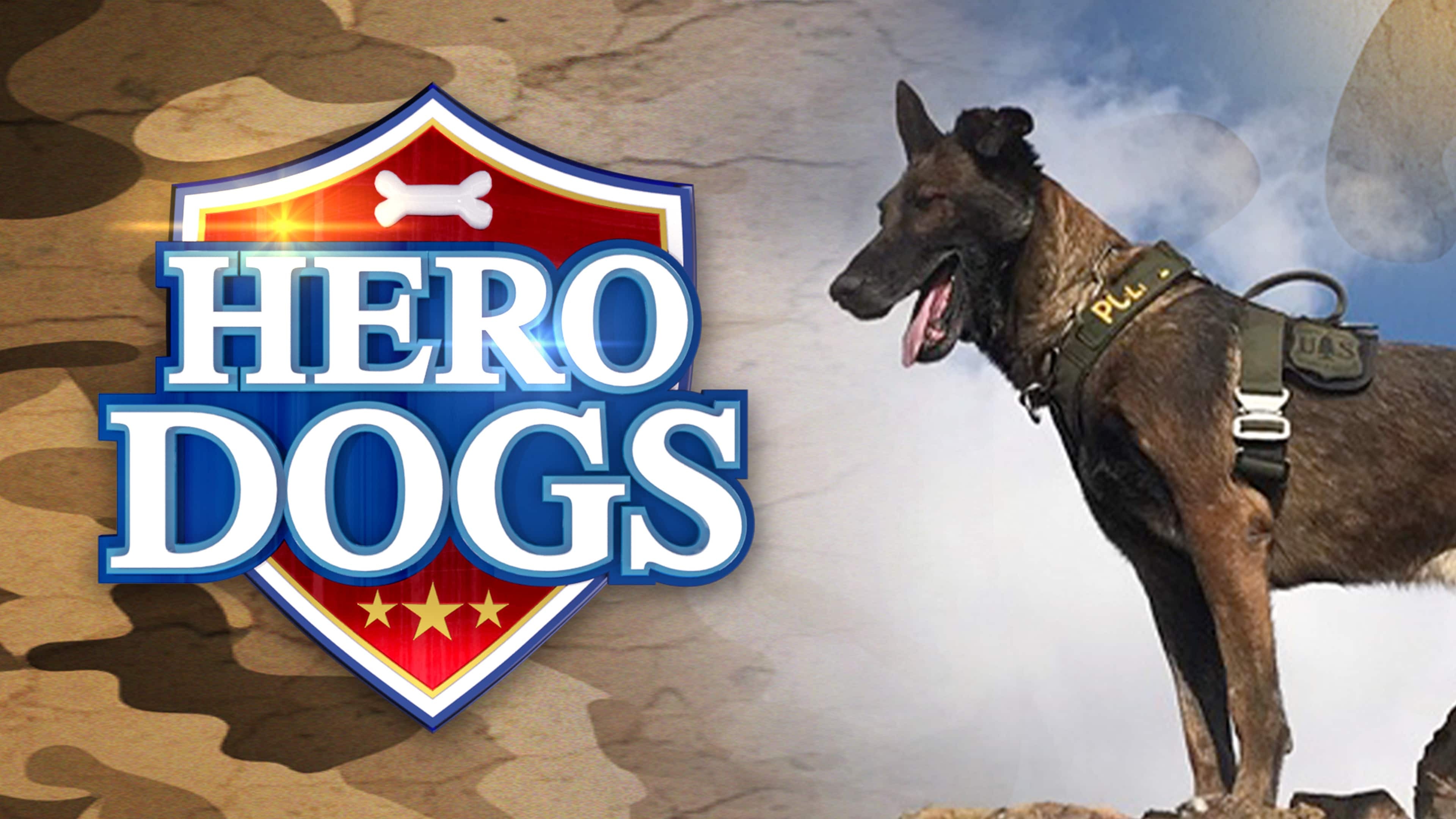 Watch Hero Dogs | FOX One