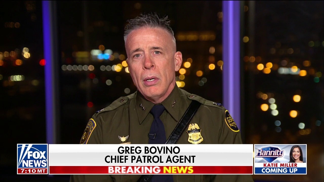 Watch This happens EVERY DAY in Chicago: CBP chief patrol agent - FNC ...