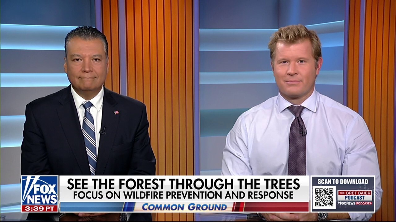 Watch Senators discuss bipartisan effort to focus on wildlife ...
