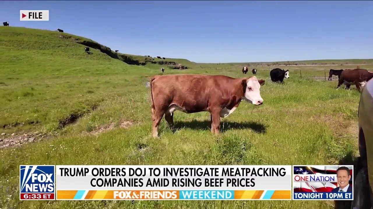 Watch Trump orders DOJ to probe soaring beef prices ‘jeopardizing’ US ...