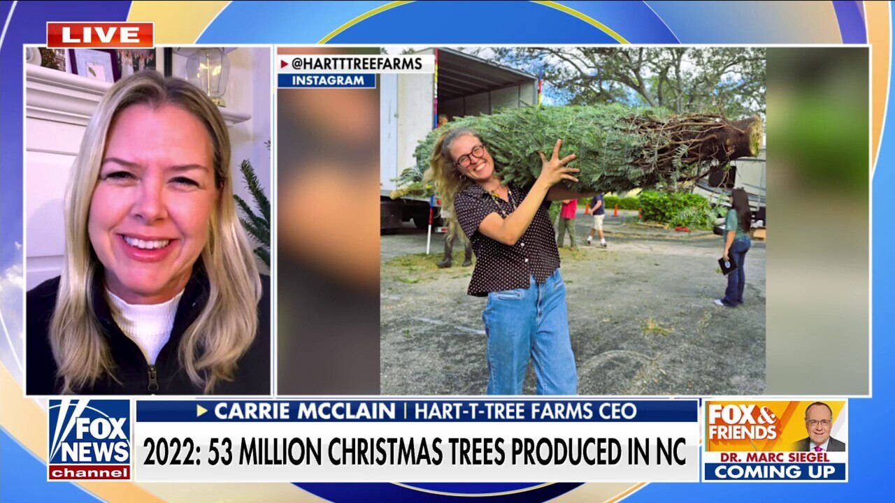Watch NC tree farm rebounds after Helene: ‘We could all use a good ...