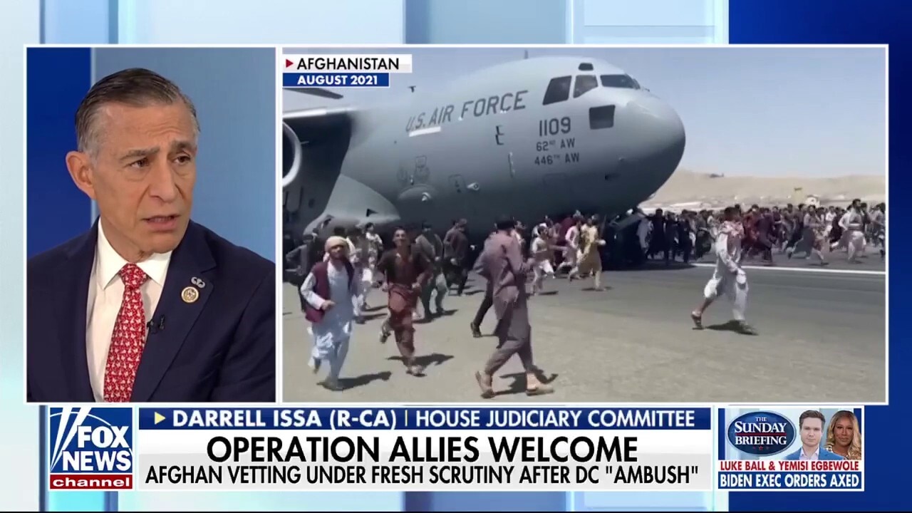 Watch Rep. Issa slams Biden-era Afghan vetting after DC shooting: 'They ...