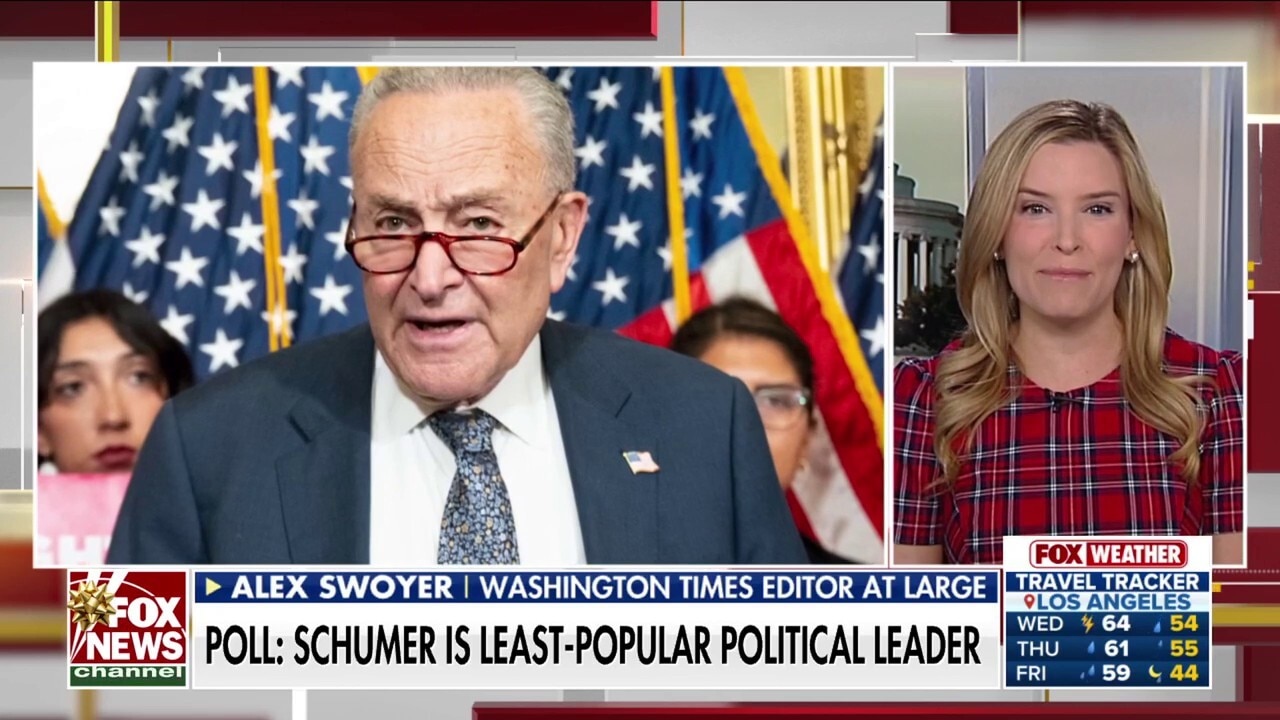 Watch Schumer approval rate plunges as Dems debate new leadership ...
