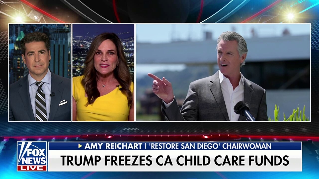 Watch The ‘mother of all fraud’ in California is Gavin Newsom: Amy ...