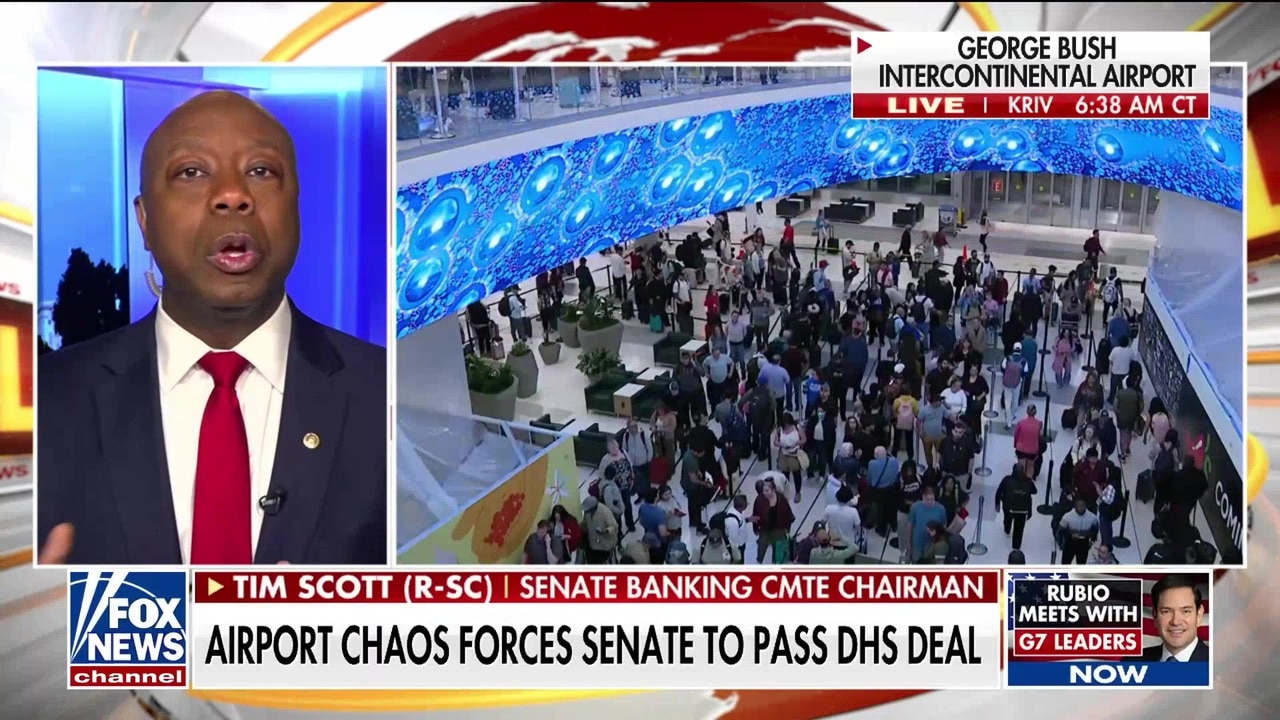 Watch Senate passes bill to fund DHS, pay TSA while ICE remains heavily ...