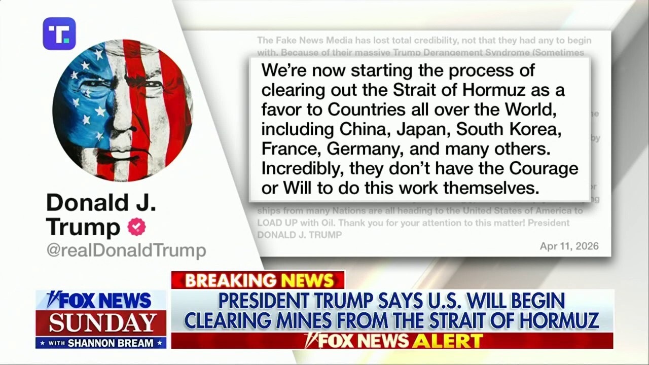 Watch Trump slams allies as US moves to clear mines in Strait of Hormuz ...