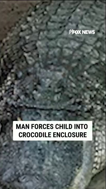 Watch Man FORCES child into crocodile enclosure - FNC | FOX One