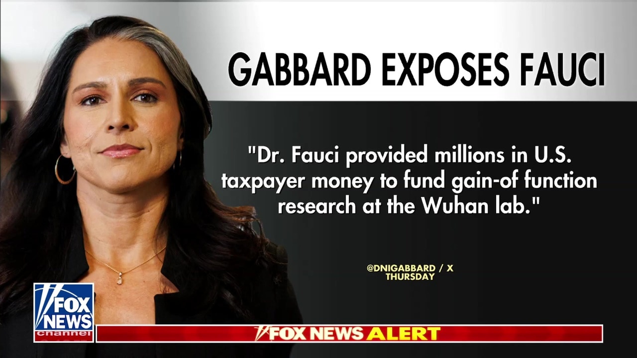 Watch Ex-health official calls Gabbard’s file drop ‘nothing burger ...