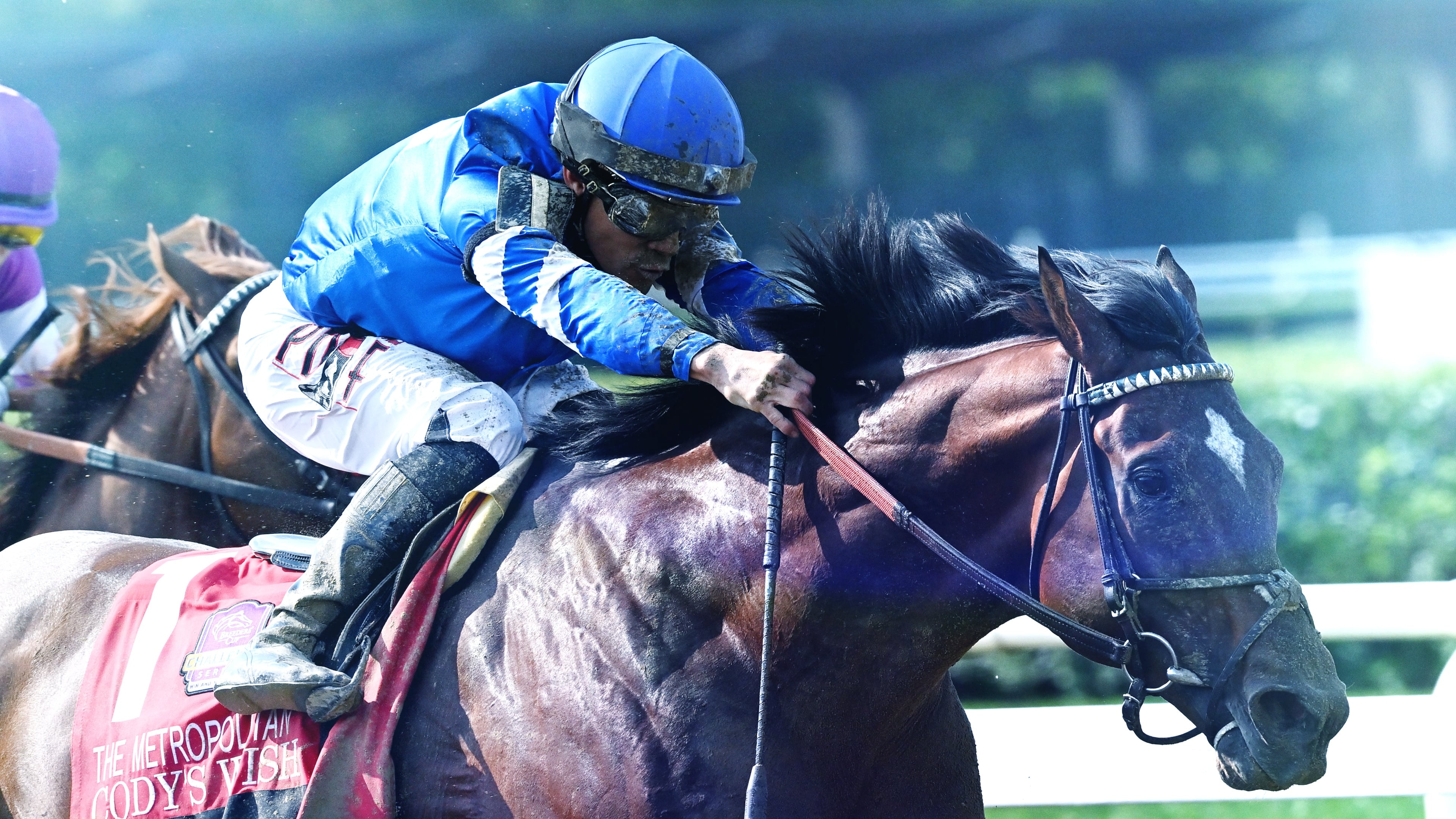 Watch AMERICA'S DAY AT THE RACES Online | FOX One