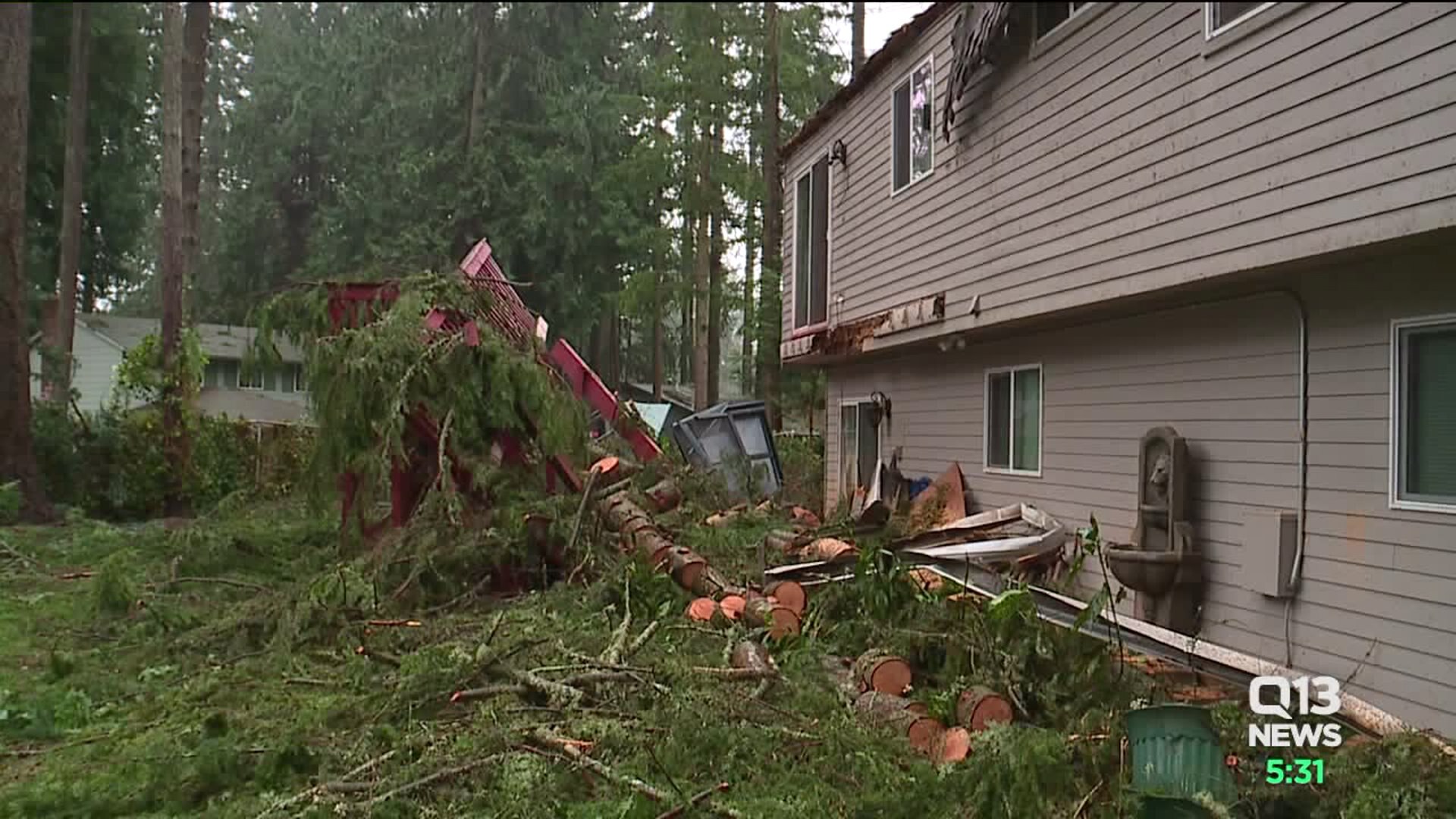 911 calls detail panic after tornado | FOX 13 Seattle