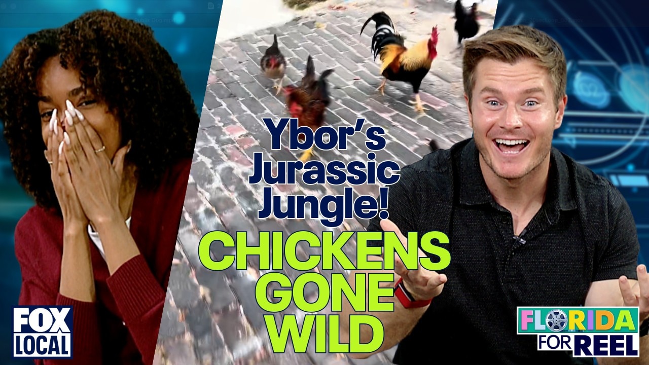 Inside the viral 'Florida Man' home | Florida For Reel | FOX 13 Tampa Bay