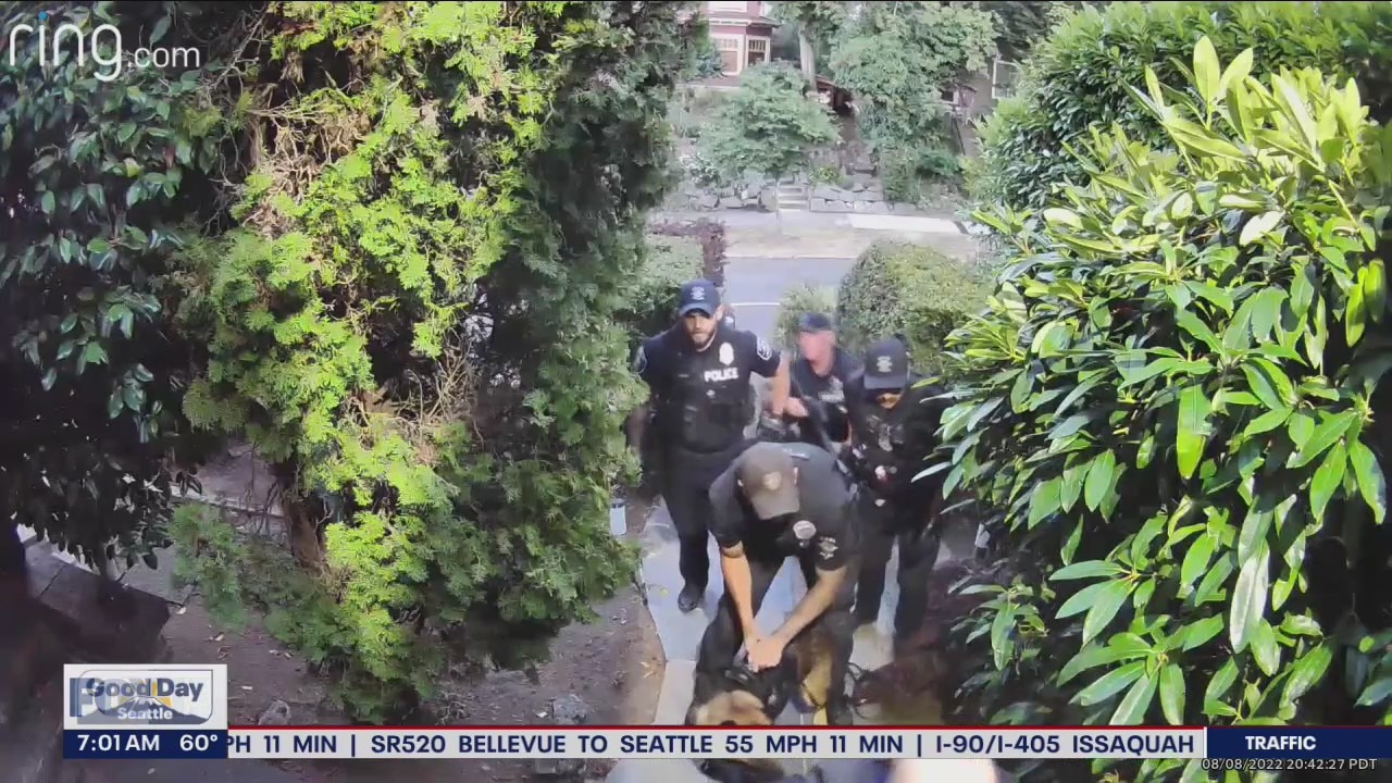 New video of police arresting arson suspect in Seattle | FOX 13 Seattle