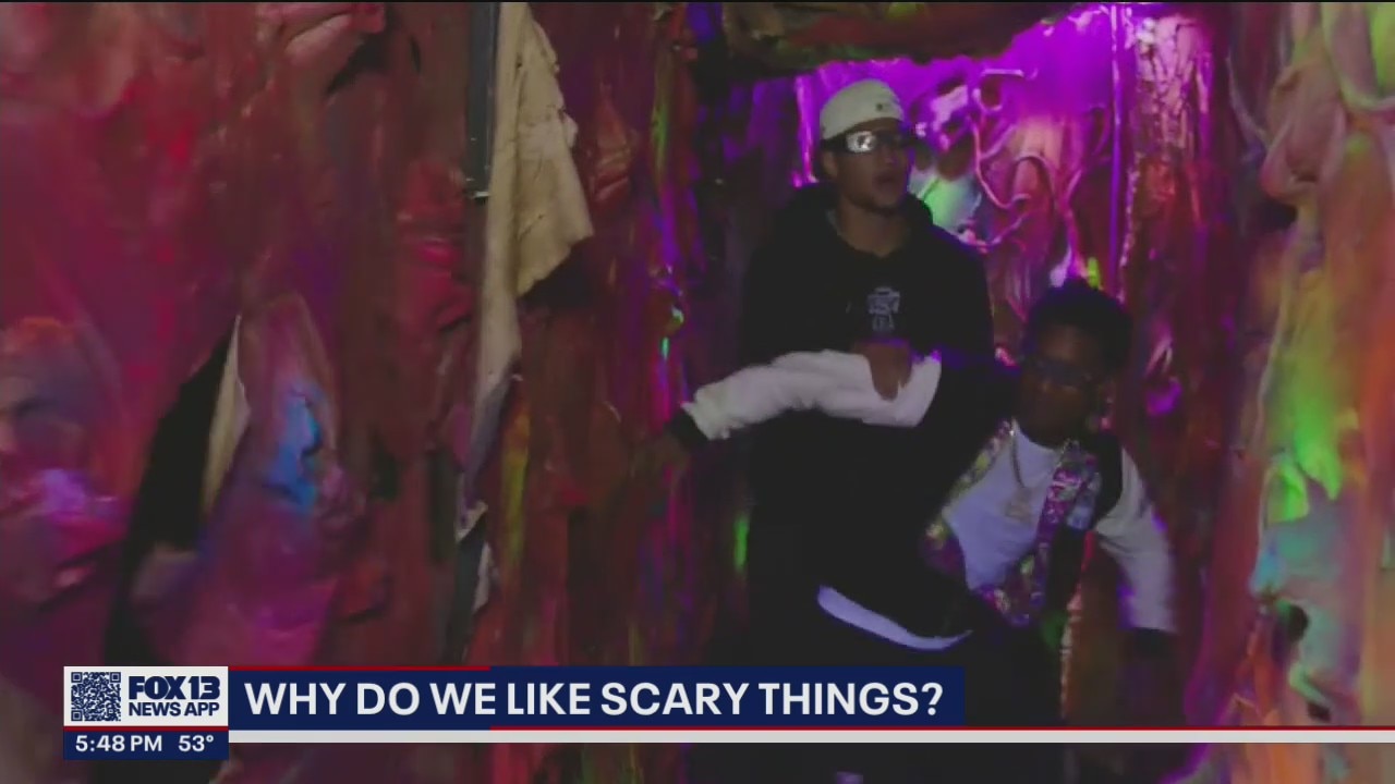 Why do we like scary things? | FOX 13 Seattle
