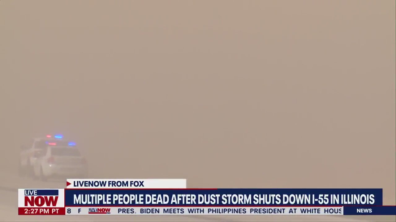 Illinois dust storm: Multi-vehicle pile up turns deadly | LiveNOW from FOX