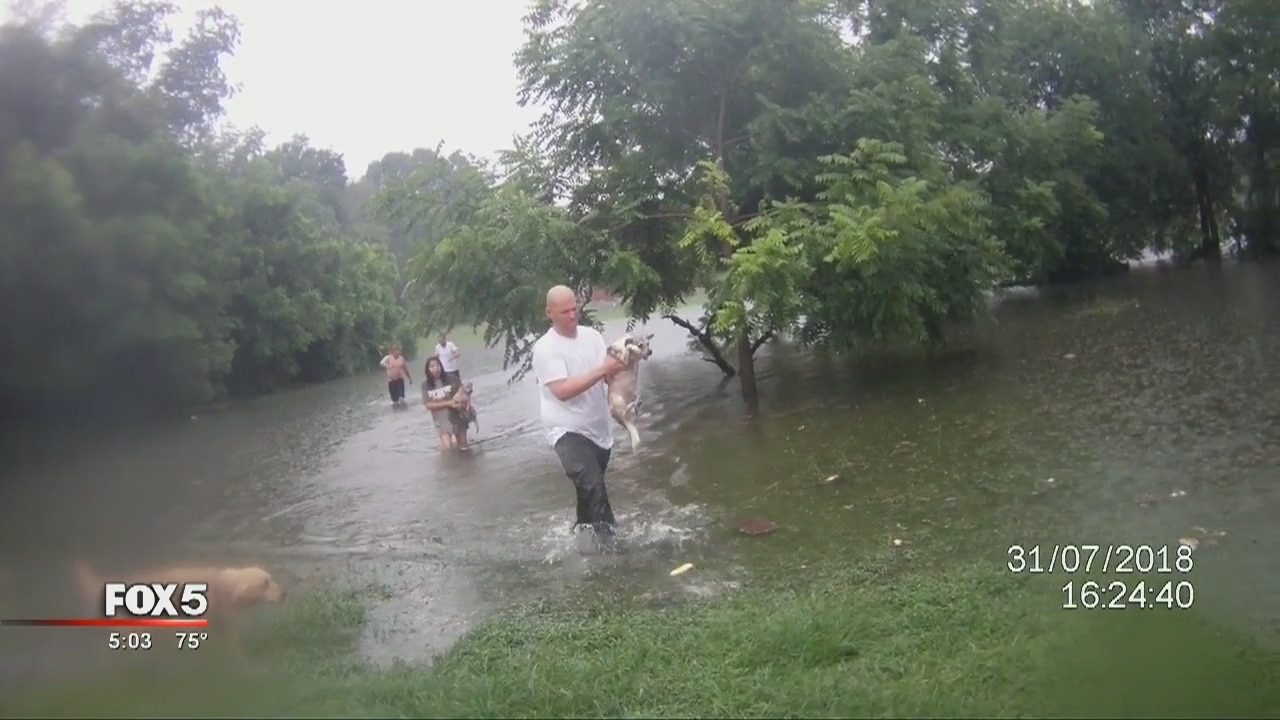 Animal control officers rescue pups from flood waters | FOX 5 Atlanta