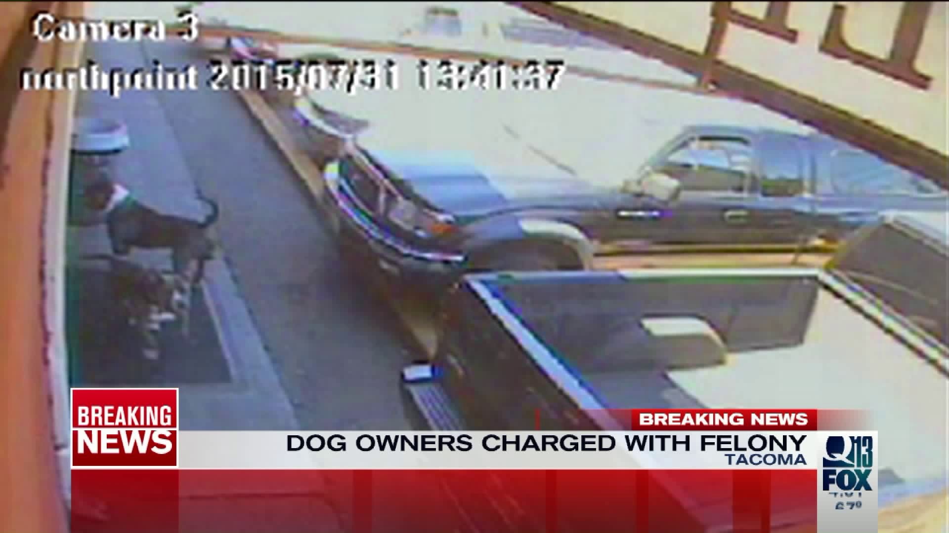 Dog owners charged in vicious attack caught on camera | FOX 13 Seattle