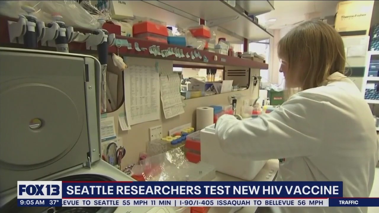 Seattle researchers test new HIV vaccine | FOX 13 Seattle