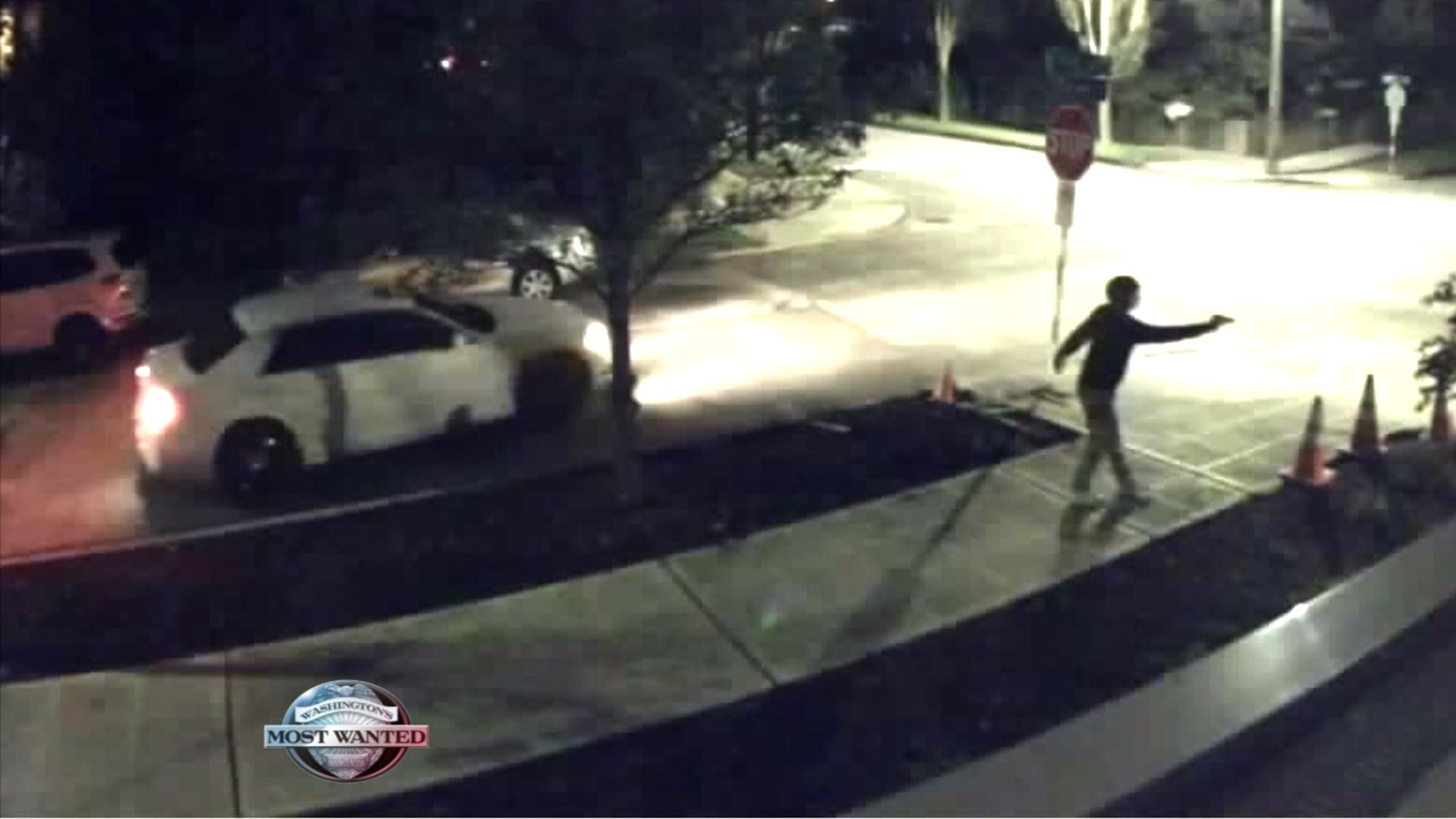 WANTED: Armed street robbers | FOX 13 Seattle