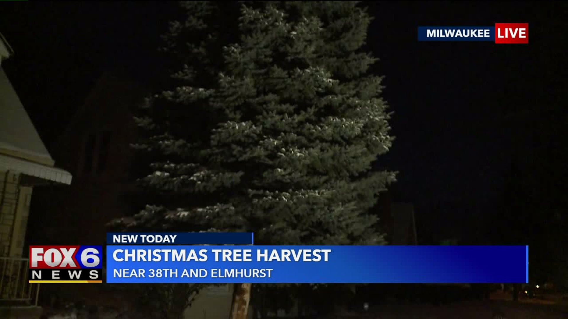City of Milwaukee Christmas Tree | FOX6 Milwaukee